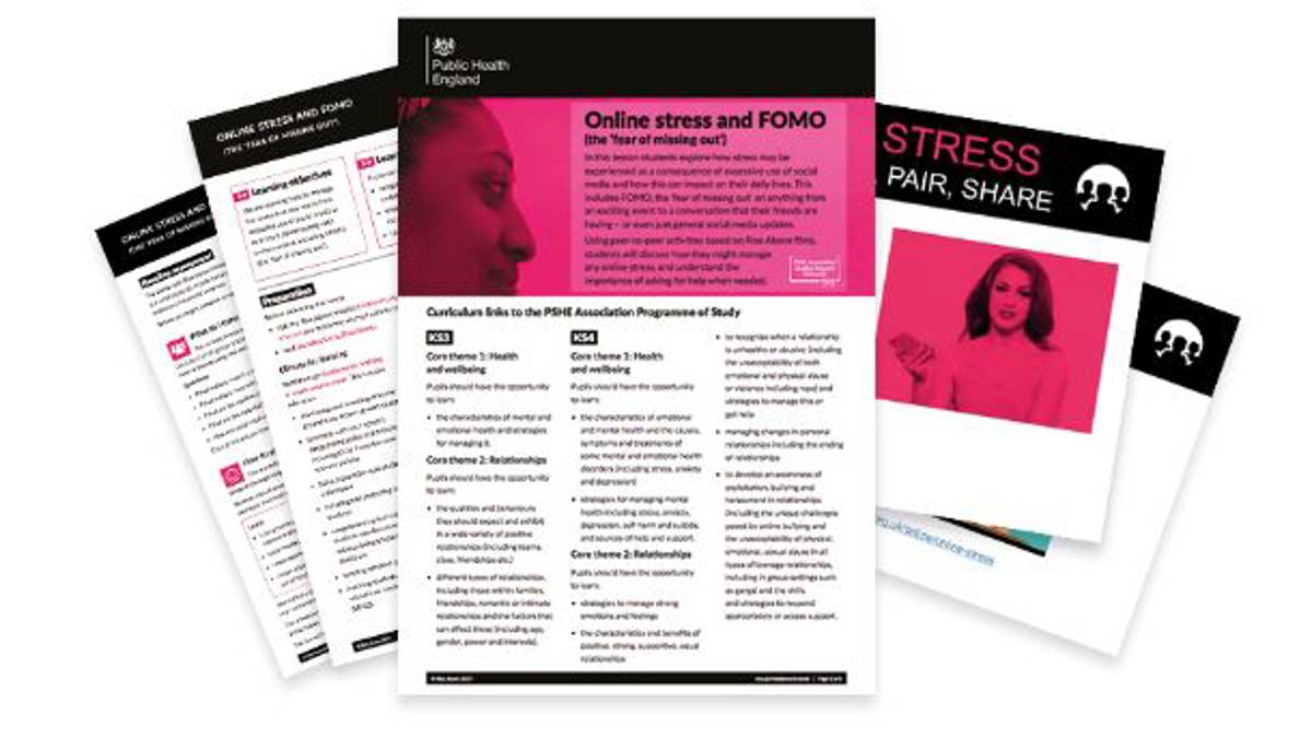 Alcohol lesson plan and PowerPoint : Mentally Healthy Schools