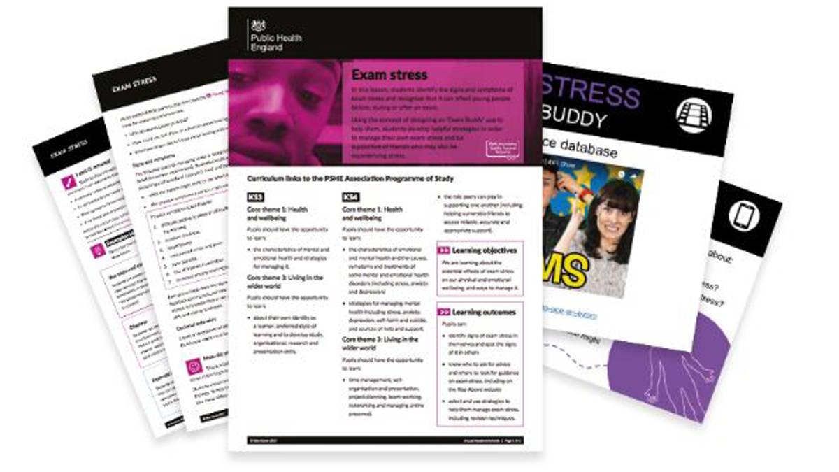 Alcohol lesson plan and PowerPoint : Mentally Healthy Schools