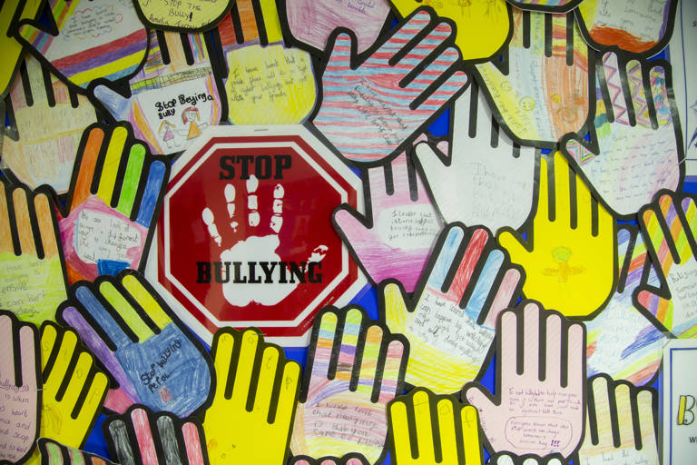 Why do people bully? : Mentally Healthy Schools